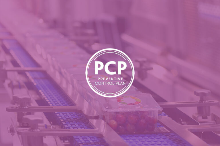 PCP Importer Plan Template Bundle - Sirocco Consulting